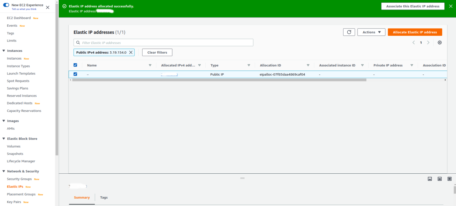 How to use domain name instead of public DNS / IP in Amazon Linux EC2 instance