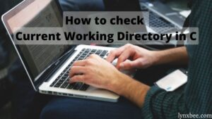 Master the Current Working Directory in C: Simple Guide for Beginners ...