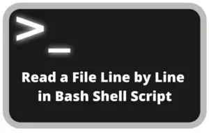 How to Read a File Line by Line in Bash Script: A Step-by-Step Guide