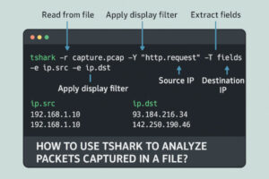How to Use TShark to Analyze PCAP Files: Options Explained with Examples - Lynxbee – Linux ...